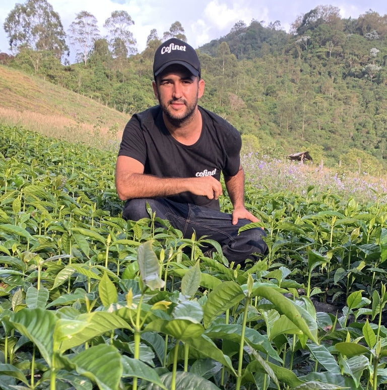 Colombia Felipe Arcila Orange Typica Natural - LIMITED RELEASE ...